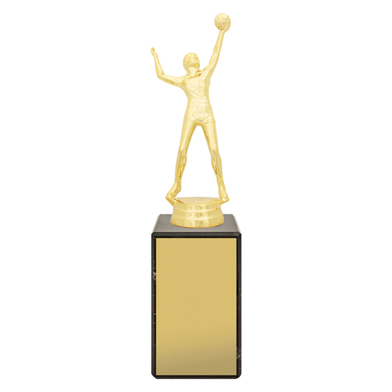 Male Volleyball Trophy | Premier Awards - Sydney